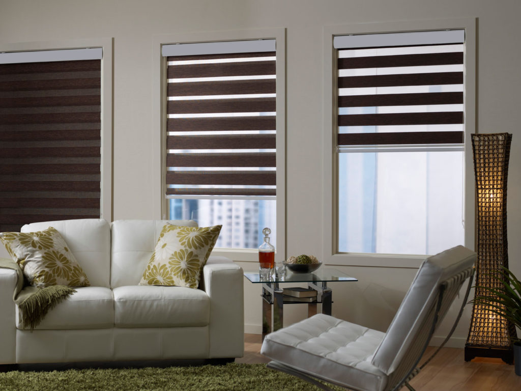 Roller Blinds Duo System Arctic Cat Nigeria Roller Blinds Duo System Arctic Cat Nigeria